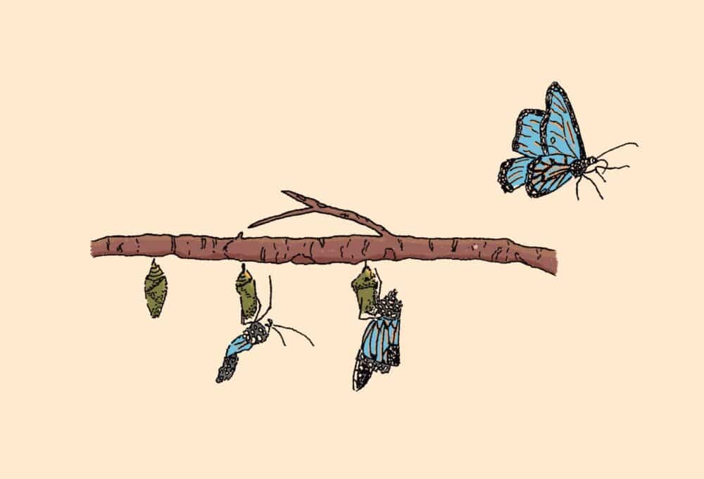 Escucha 'Saber esperar', el nuevo lanzamiento de Ana Botero - Orbital Press